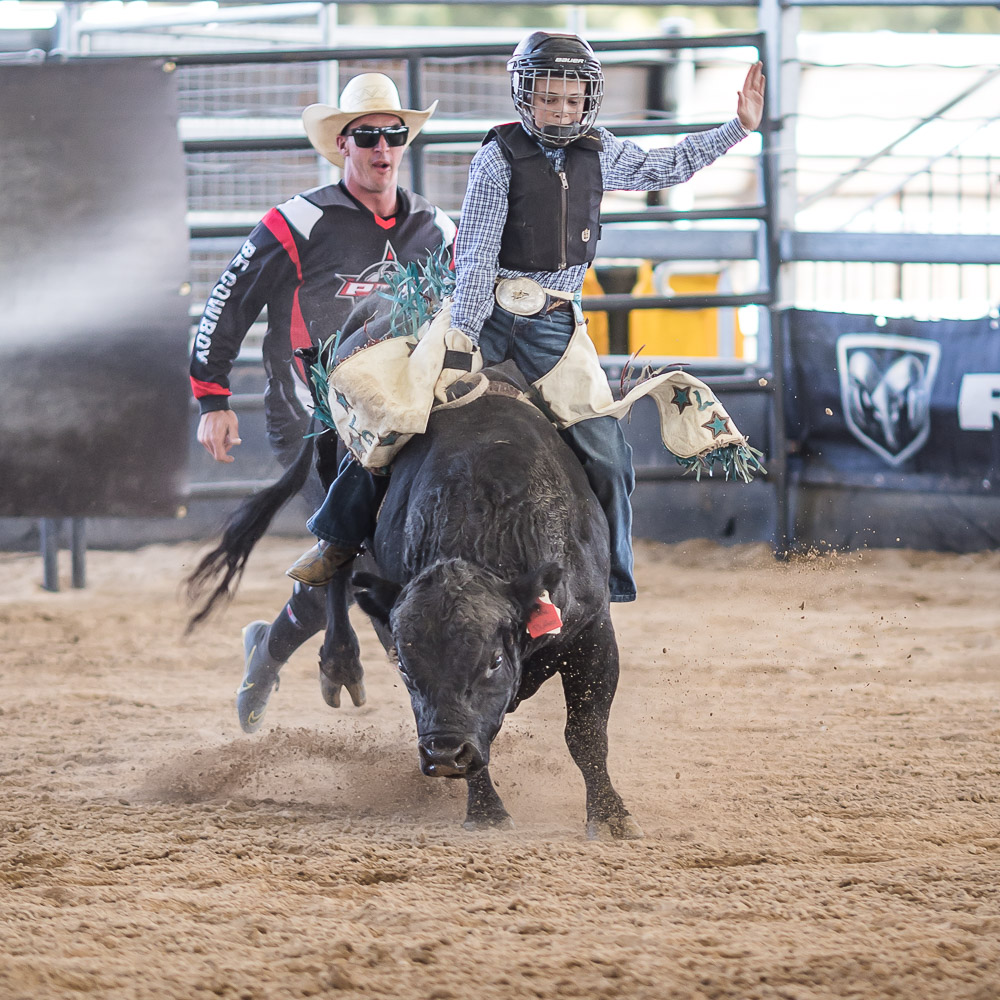 PEE WEES AND JUNIOR BULLS - PORTFOLIO - PBR AUSTRALIA - SCONE ...