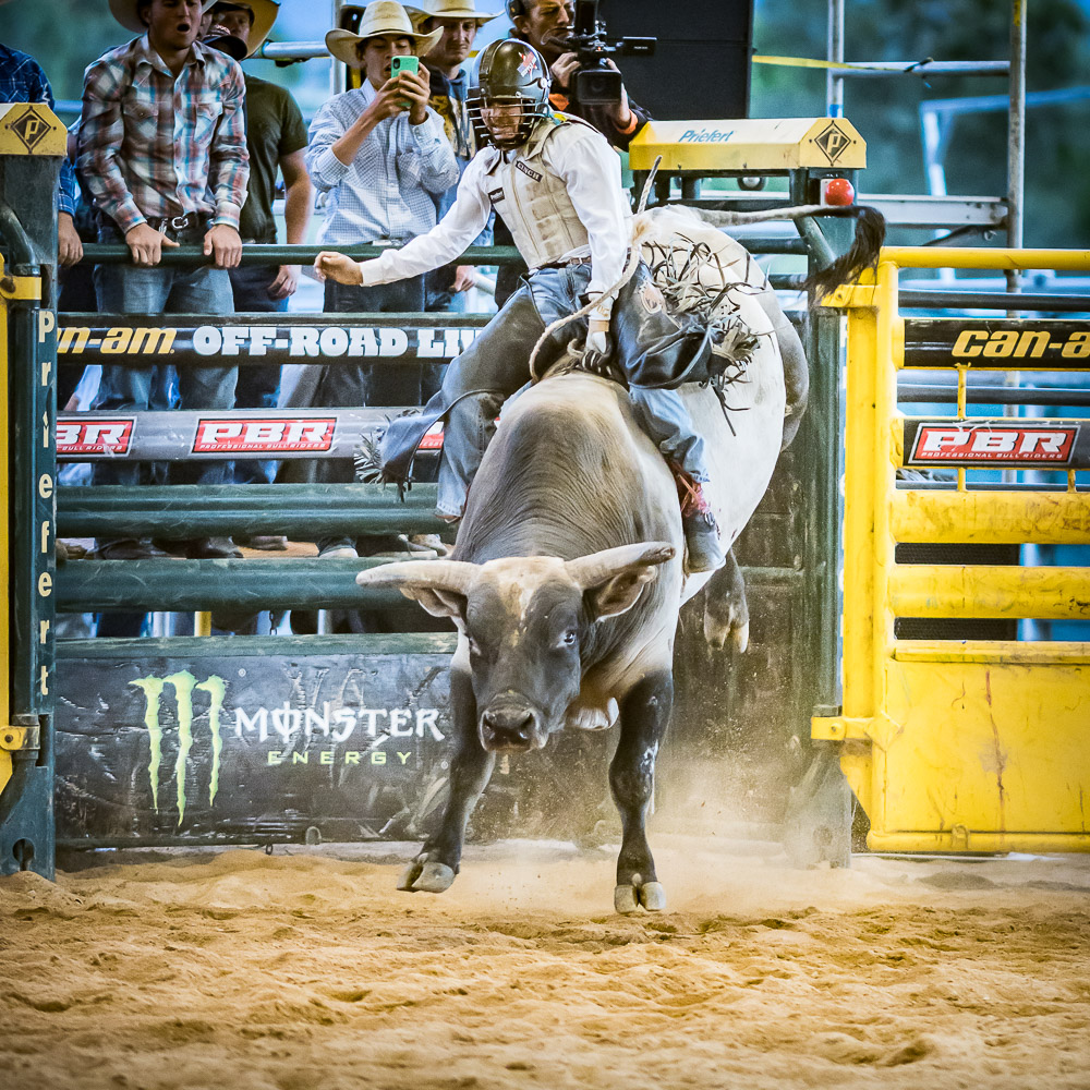 1ST GO ROUND - PORTFOLIO - PBR AUSTRALIA - SCONE - FEBRUARY 2022 - www ...