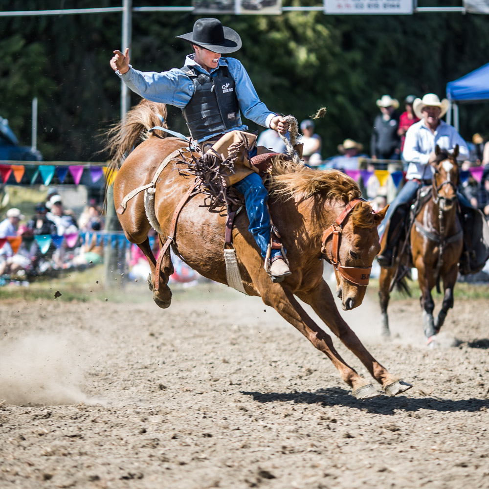 2ND DIVI SADDLE BRONC - PORTFOLIO - RODEO - WINCHESTER RODEO 2022 - www ...