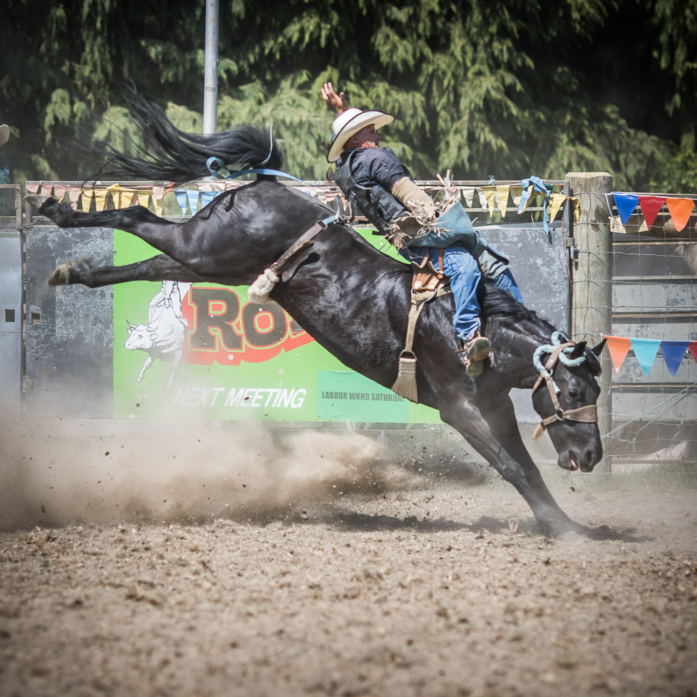 BAREBACK - PORTFOLIO - RODEO - WINCHESTER RODEO 2022 - www ...
