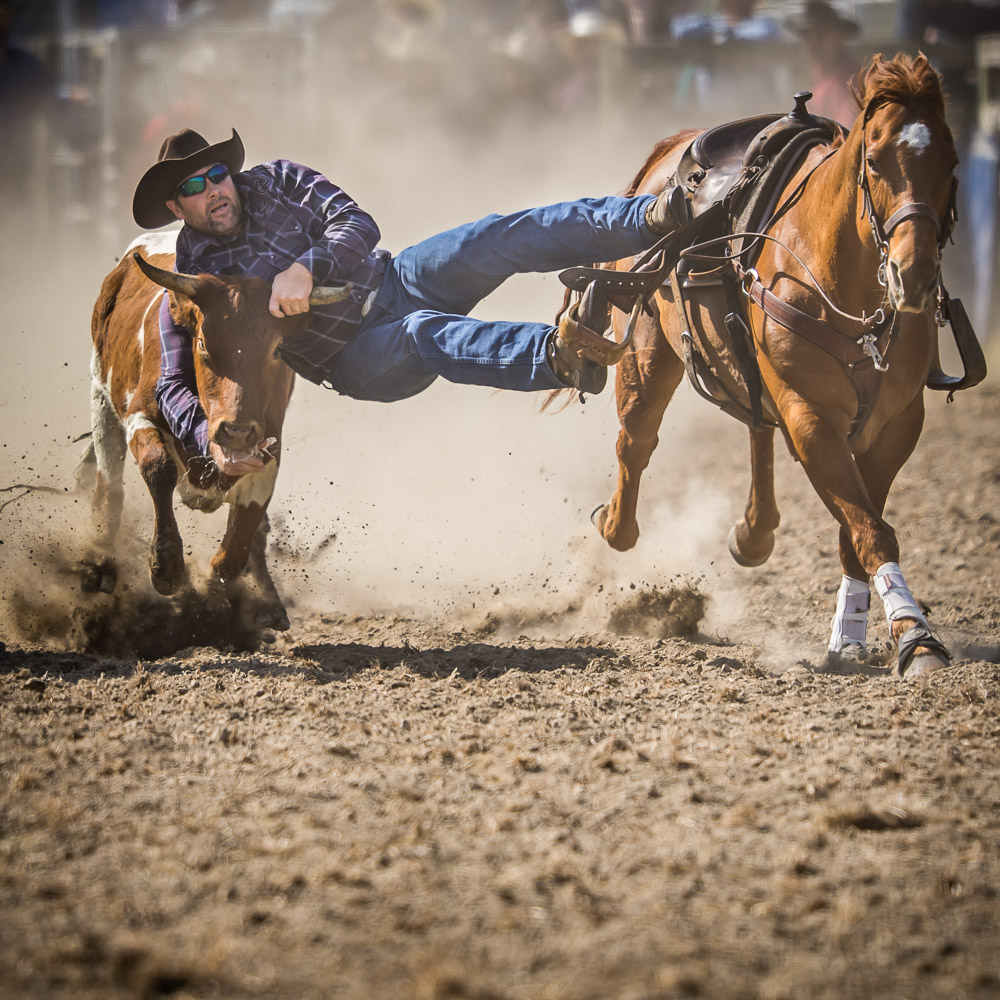 STEER WRESTLING - PORTFOLIO - RODEO - WINCHESTER RODEO 2022 - www ...