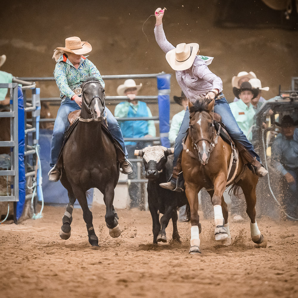 TEAM OVERSBY - PORTFOLIO - RODEO - ABCRA NATIONAL FINALS 2022 - www ...